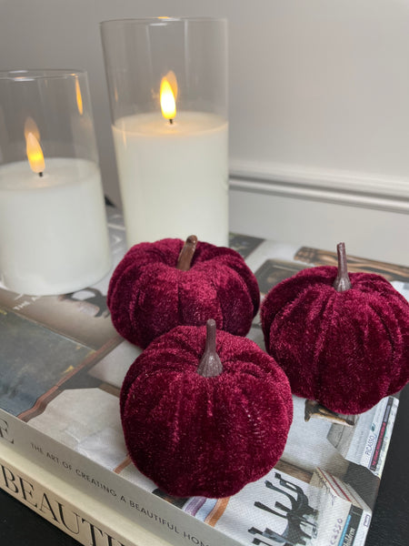 Set of 3 Rich red Halloween pumpkins autumn – Abode